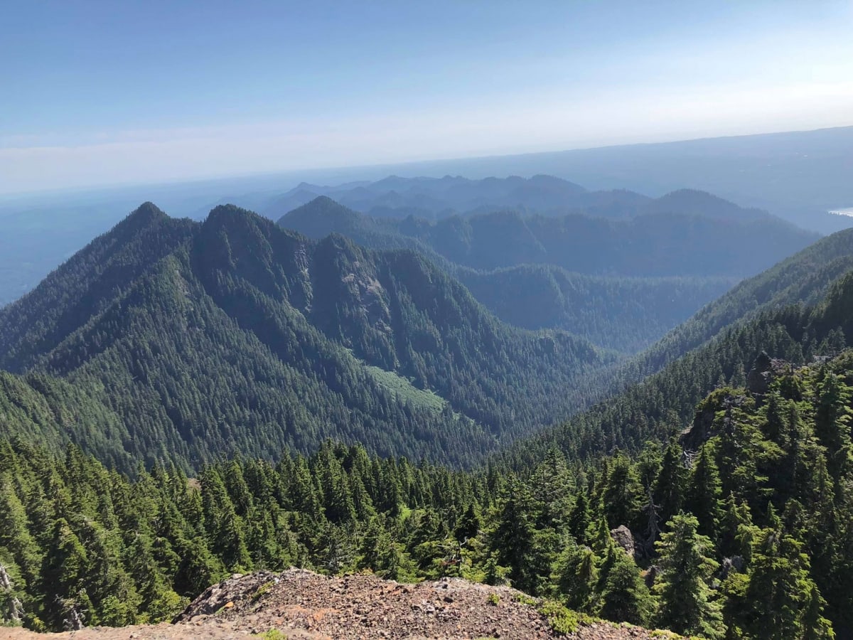 Four Hikes in Grays Harbor to Refresh Your Senses - Greater Grays Harbor