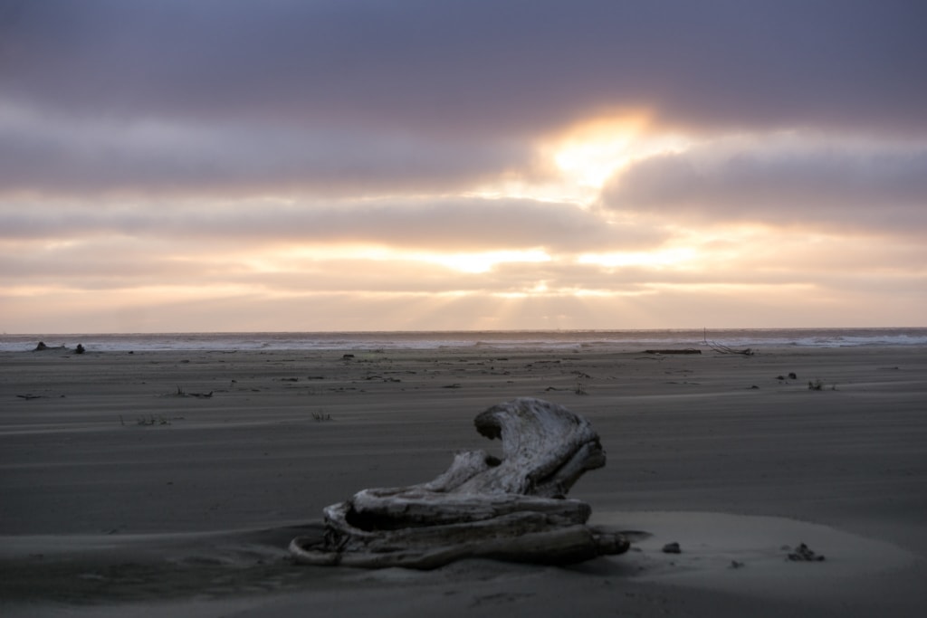Four Hikes in Grays Harbor to Refresh Your Senses - Greater Grays Harbor