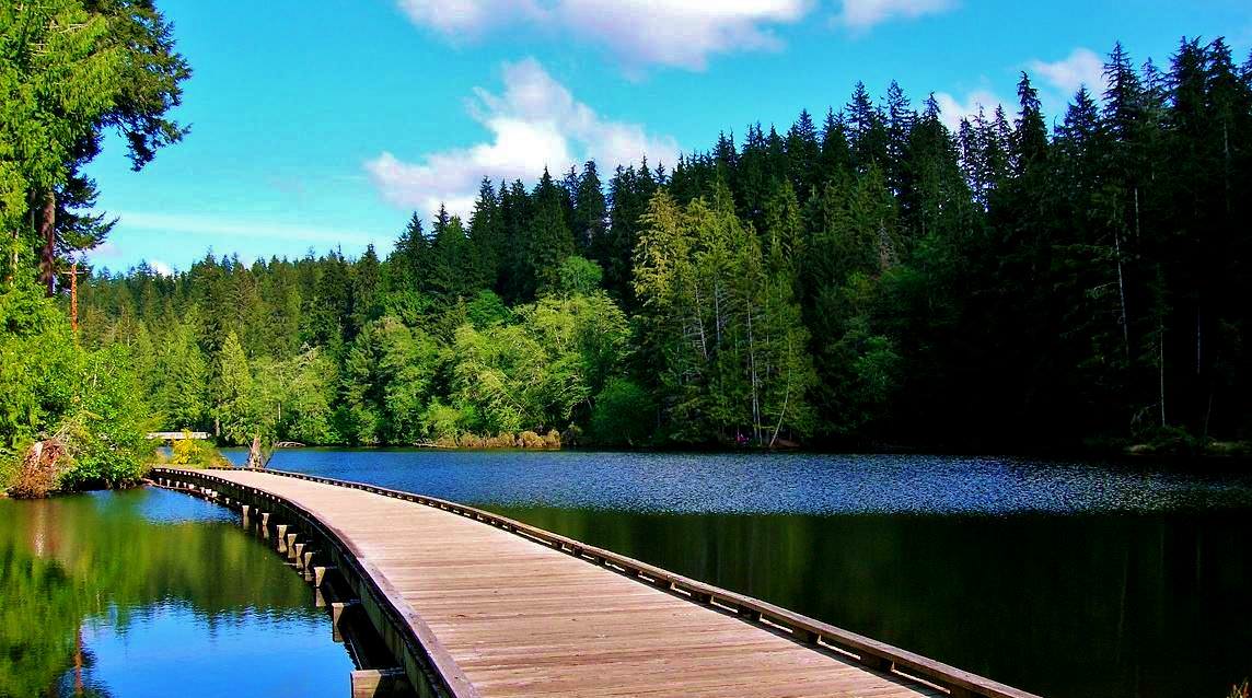 Four Hikes in Grays Harbor to Refresh Your Senses - Greater Grays Harbor