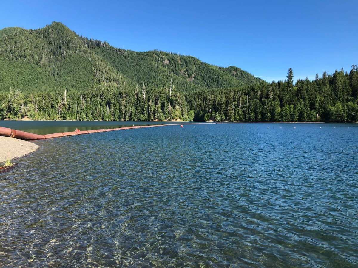 Four Hikes in Grays Harbor to Refresh Your Senses - Greater Grays Harbor
