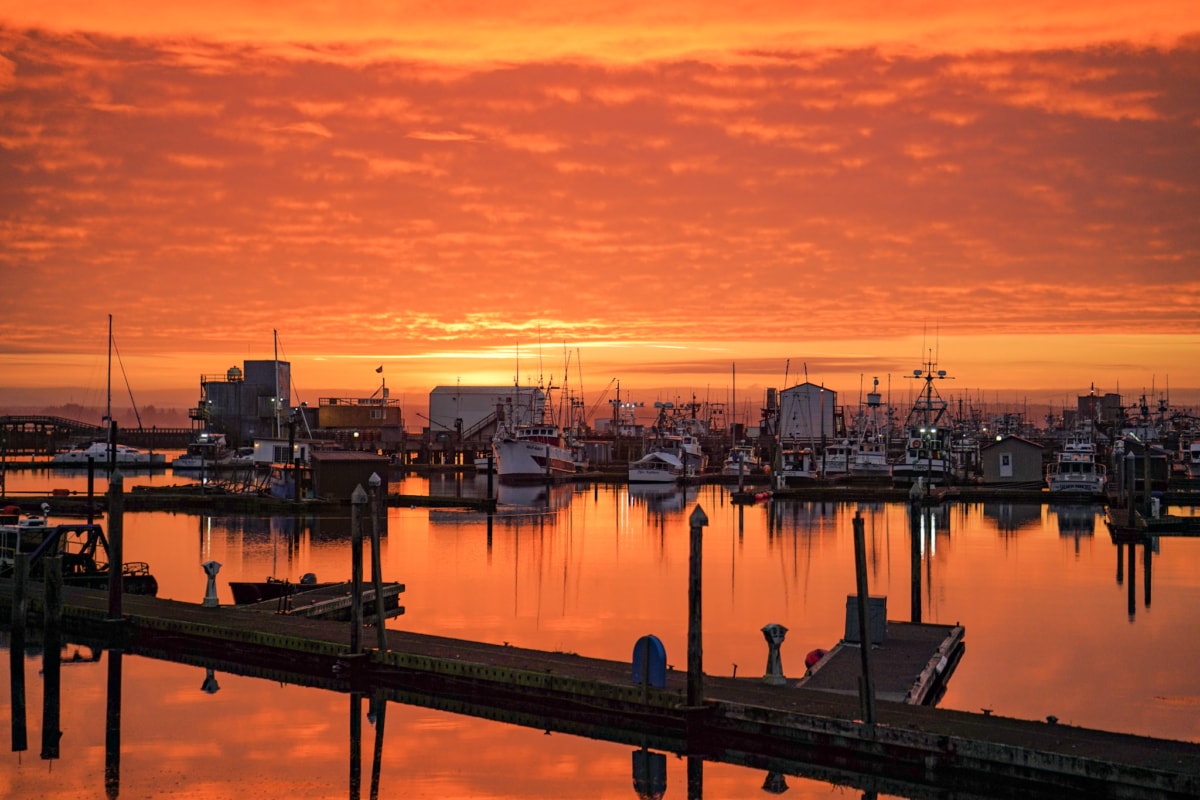 The Complete Guide to the Best Fall Events in Grays Harbor County ...