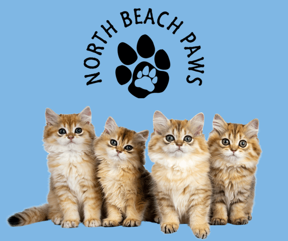 GGHI Welcomes New Member, North Beach PAWS! - Greater Grays Harbor